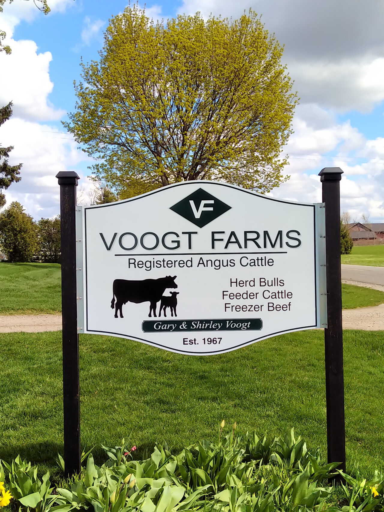 Voogt Farms | Registered Angus Cattle
